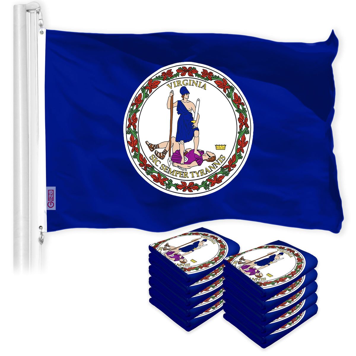 Virginia VA 3x5 Ft 10-Pack 150D Printed Polyester By G128 — G128store.com