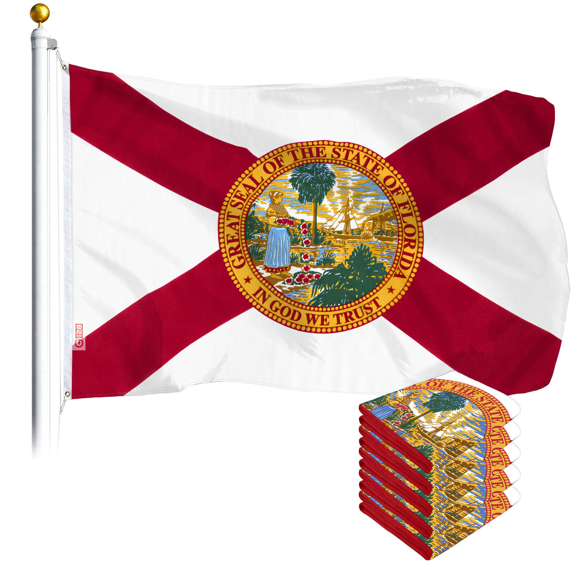 Florida FL State Flag 3x5 Ft 5-Pack Printed Polyester By G128 ...